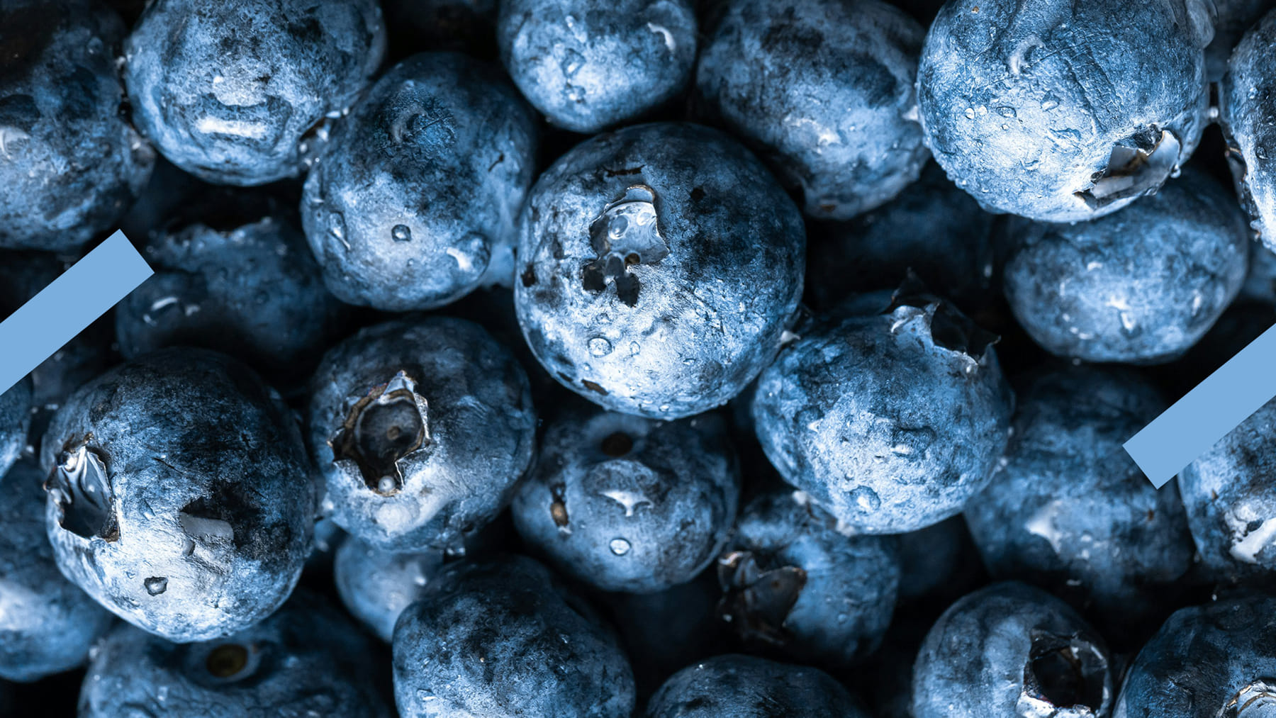 Wat betekent 'vrucht van de Geest'? - EO BEAM